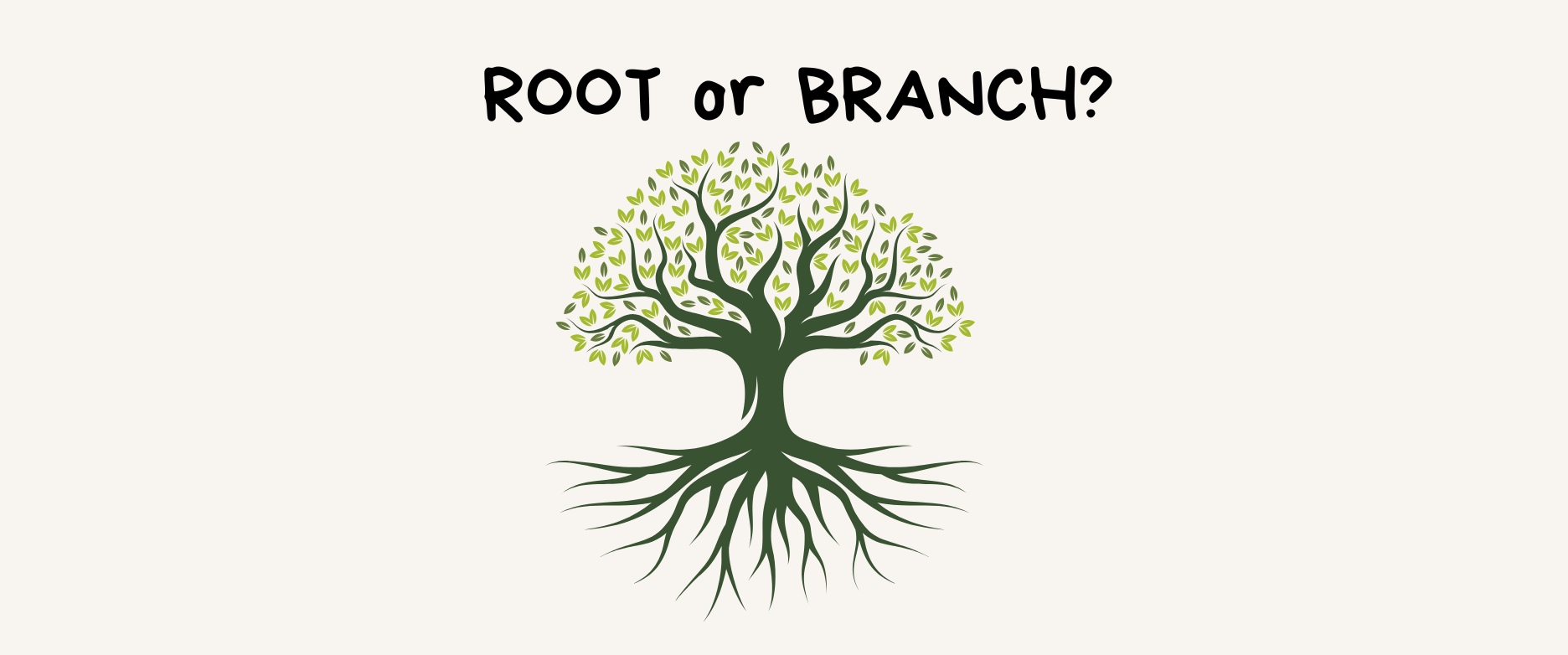 Root vs Branch TCM: Understanding the Real Cause, Not Just the Symptom ...